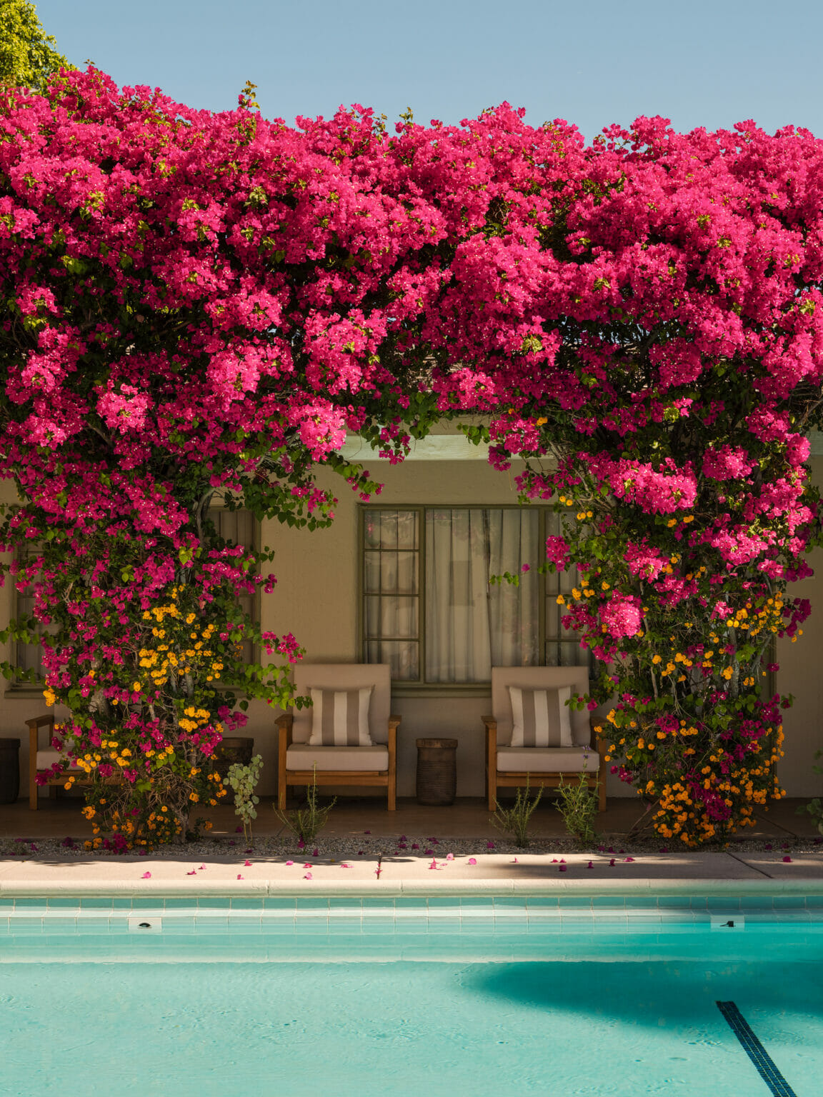 CASA CODY - Electric Bowery