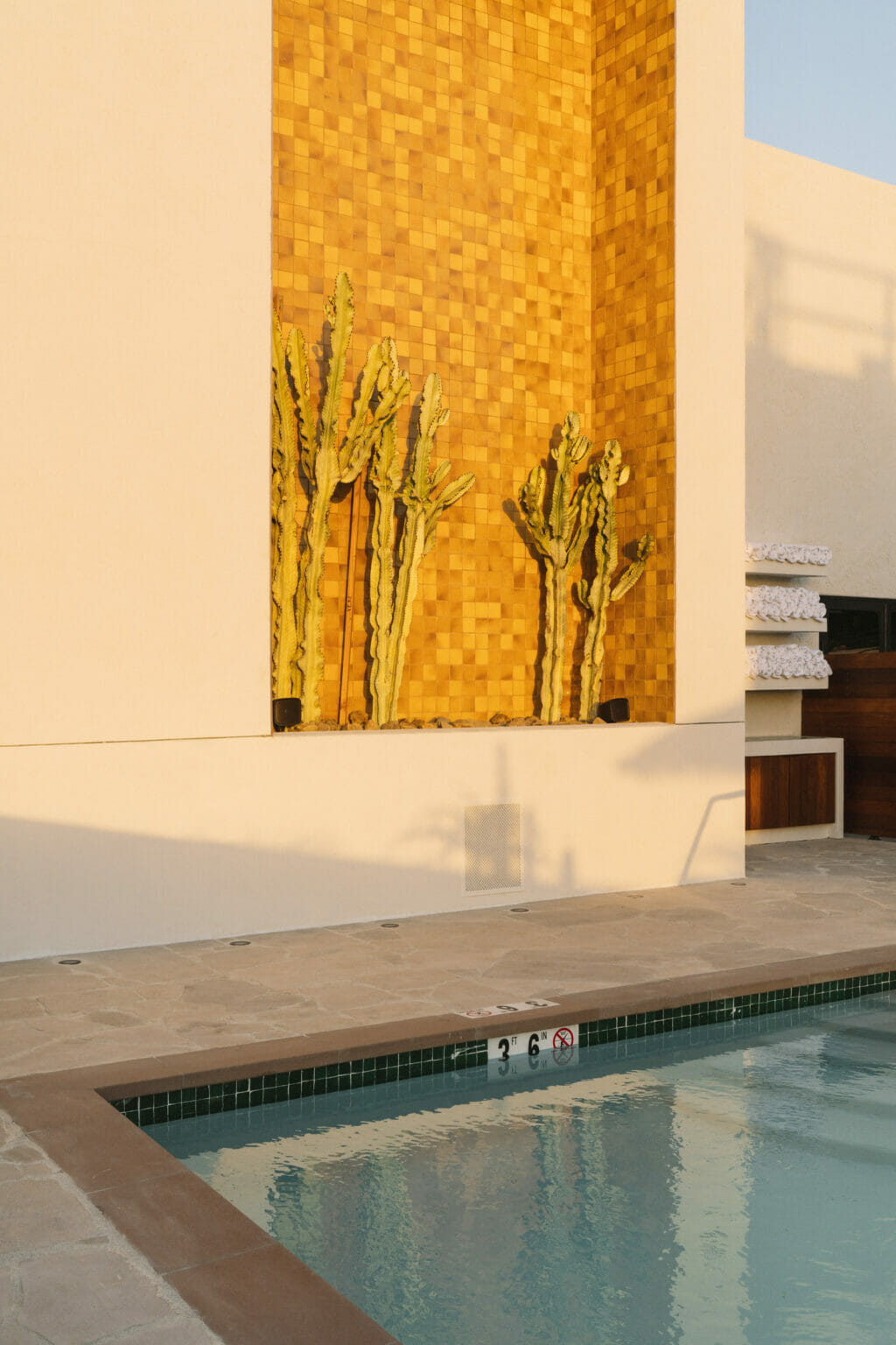 SILVER LAKE POOL & INN - Electric Bowery